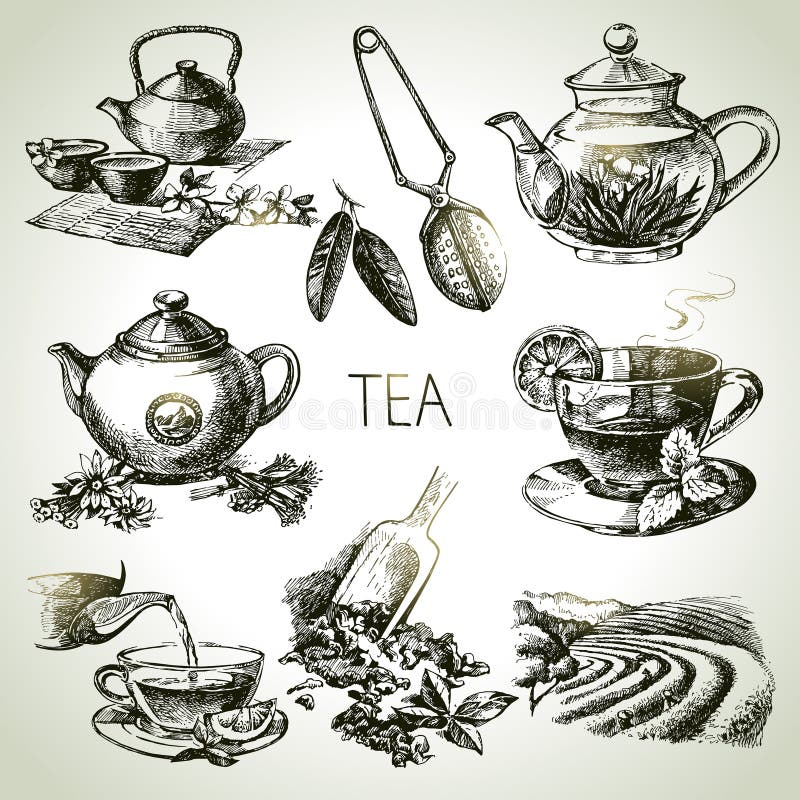 Hand Drawn Sketch Vector Tea Set Stock Vector - Illustration of sugar ...