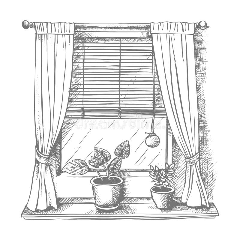 Charming Window with Plants and Curtains in Sketch Style Stock Vector ...