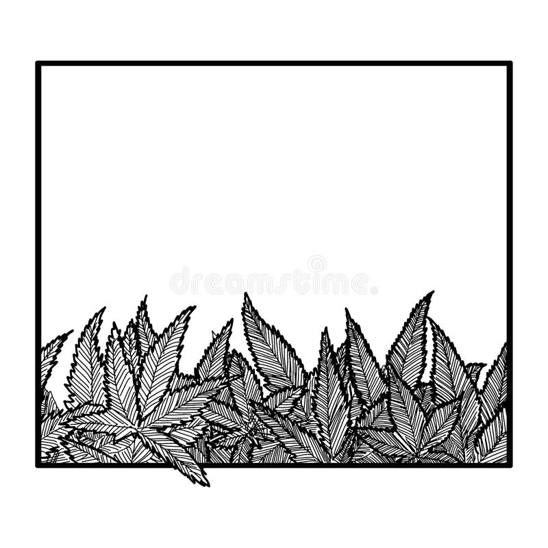 Marijuana Plant Stock Illustrations – 2,899 Marijuana Plant Stock ...