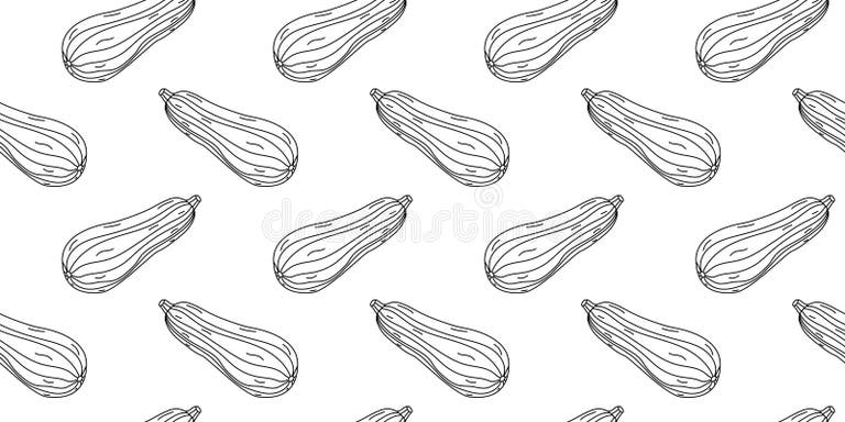 Background Pattern Featuring Hand-drawn Squash Illustrations on a White ...