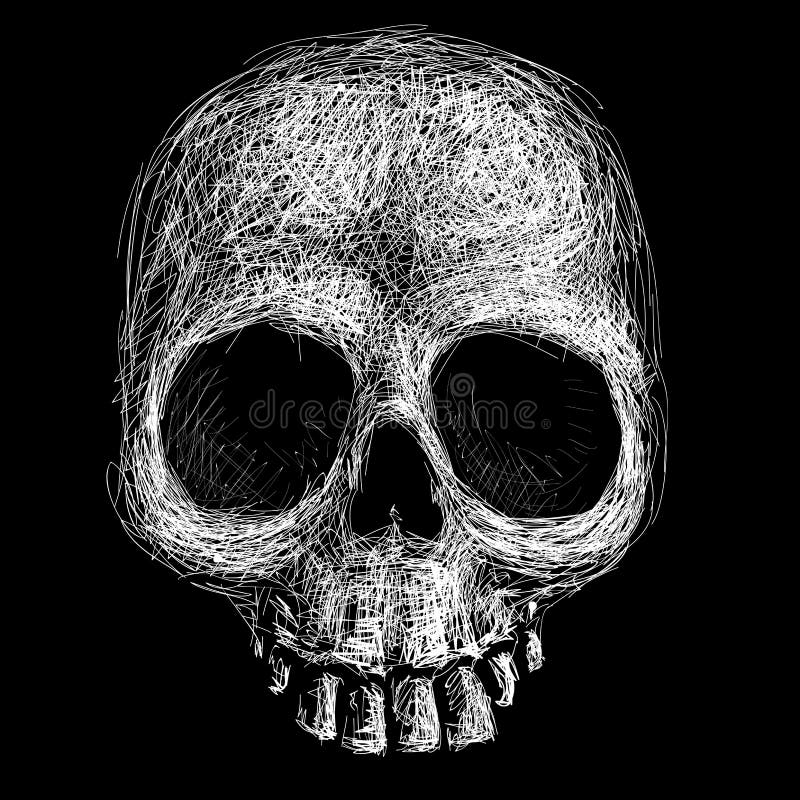 Hand drawn skull stock vector. Illustration of skull - 44445119