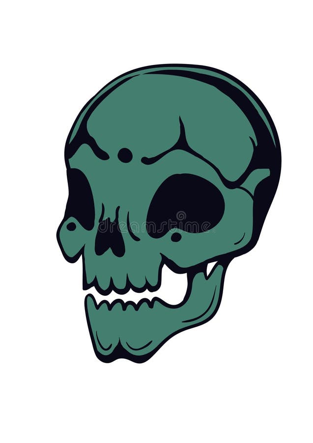 Hand drawn skull stock vector. Illustration of sketch - 77435862