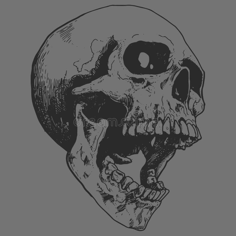 Hand drawn skull vector stock vector. Illustration of drawn - 83436690
