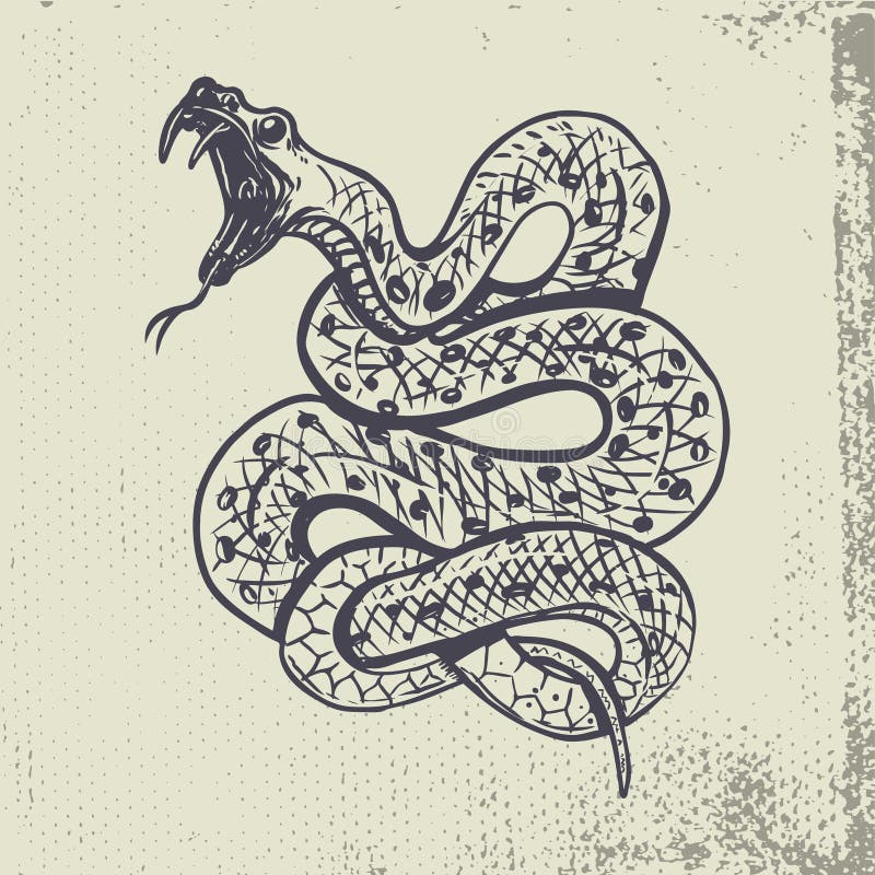 Snake Engraving Stock Illustrations – 1,226 Snake Engraving Stock ...
