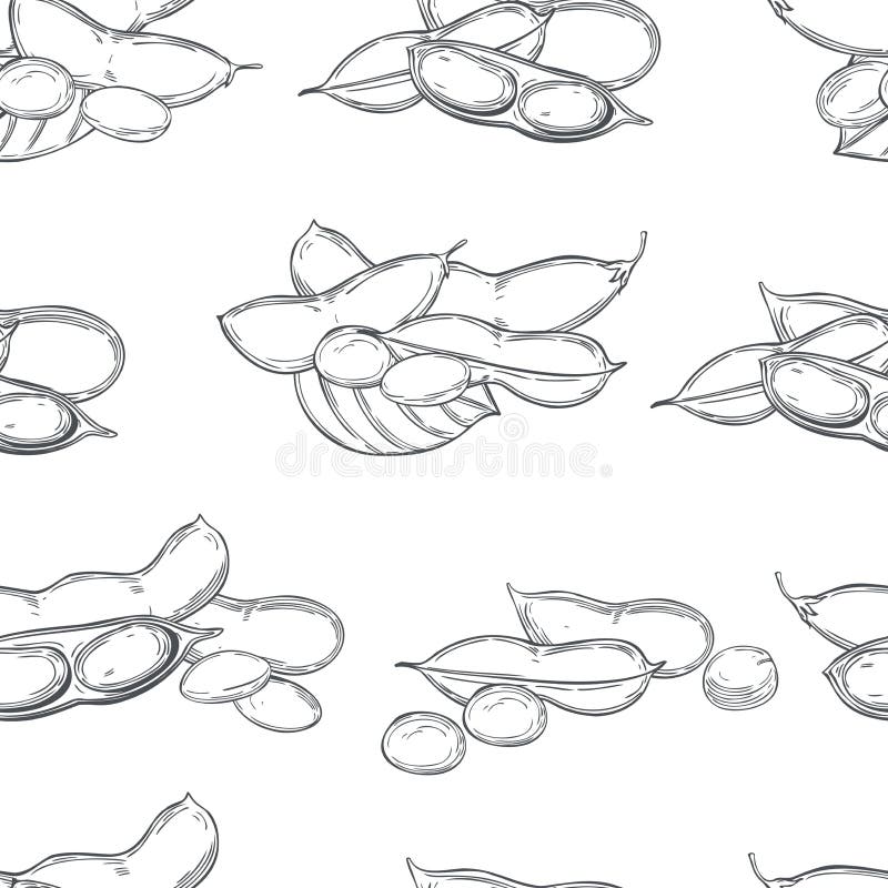 Soybean Coloring Coloring Pages