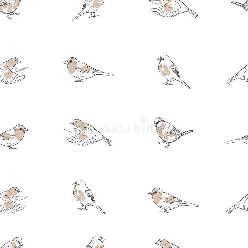 Hand Drawn Sparrows. Vector Seamless Pattern Stock Vector ...