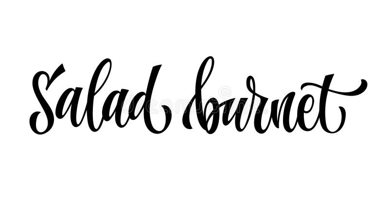 Salad Labels Stock Illustrations – 522 Salad Labels Stock Illustrations ...