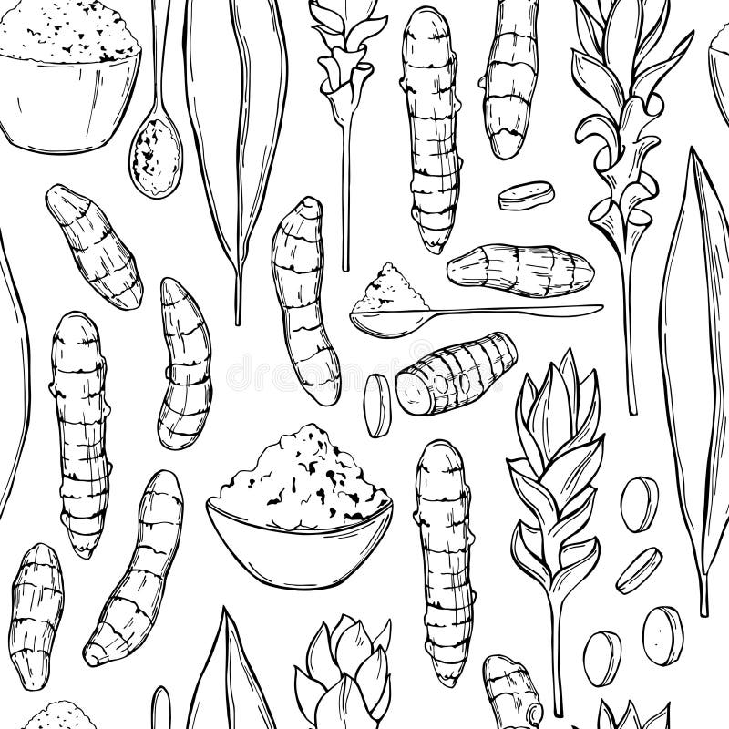 Turmeric Pattern Stock Illustrations – 4,388 Turmeric Pattern Stock ...