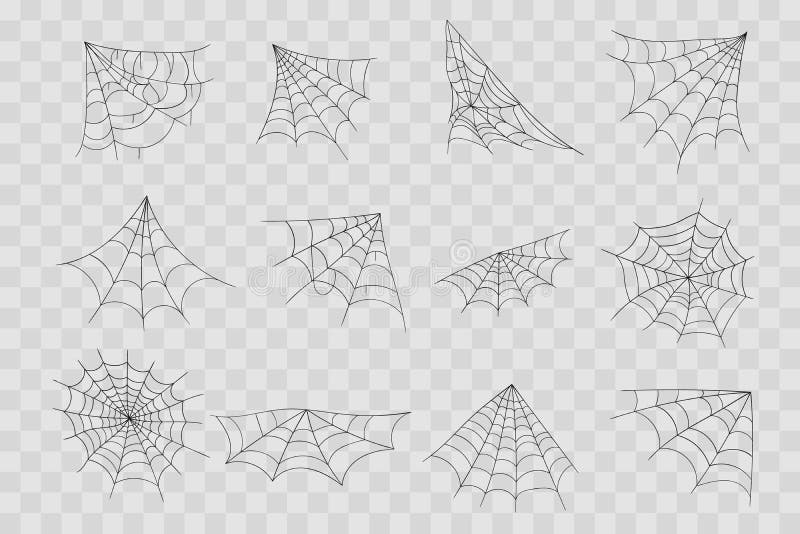 Hand Drawn Spider Web or Halloween Cobweb. Stock Vector - Illustration ...