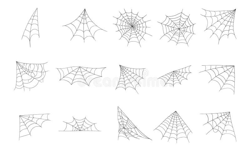 Hand Drawn Spider Web or Halloween Cobweb. Stock Vector - Illustration ...