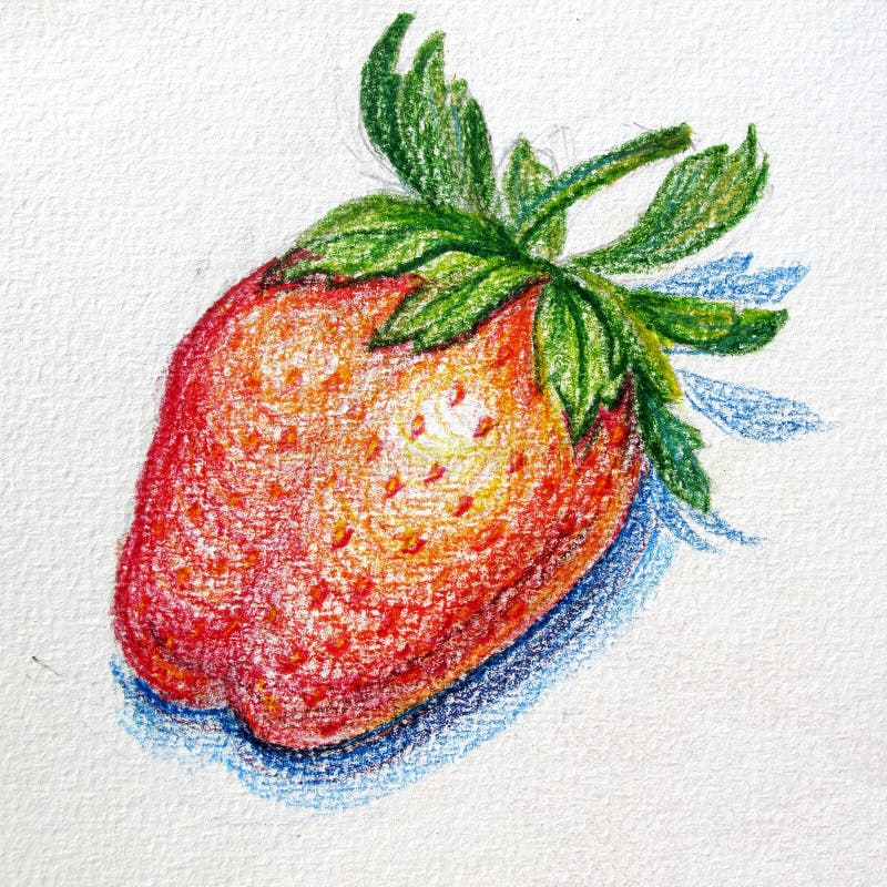 Hand-drawn flower stock illustration. Illustration of nature - 19149496