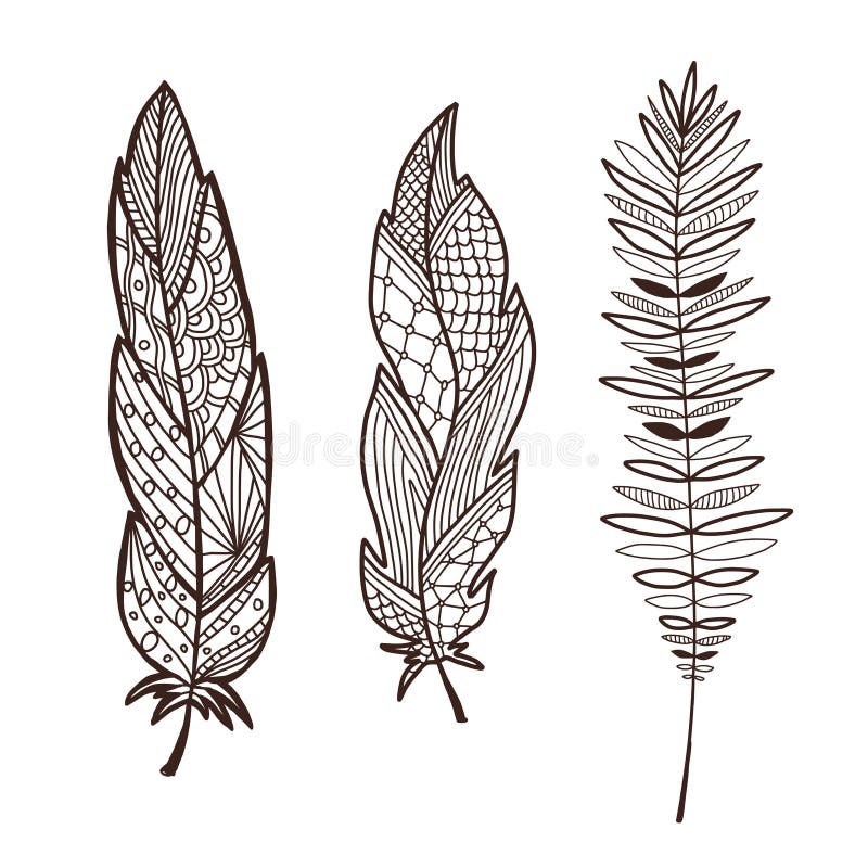 Hand Drawn Stylized Feathers. Interior Graphic Art Print. Cute ...