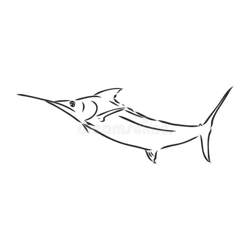 Hand Drawn Swordfish. Vector Illustration in Sketch Style Stock Vector ...