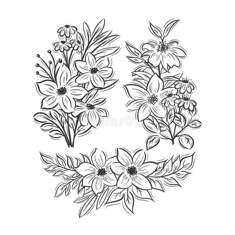 Hand Drawn Three Flower Bouquet Collection Stock Vector - Illustration ...