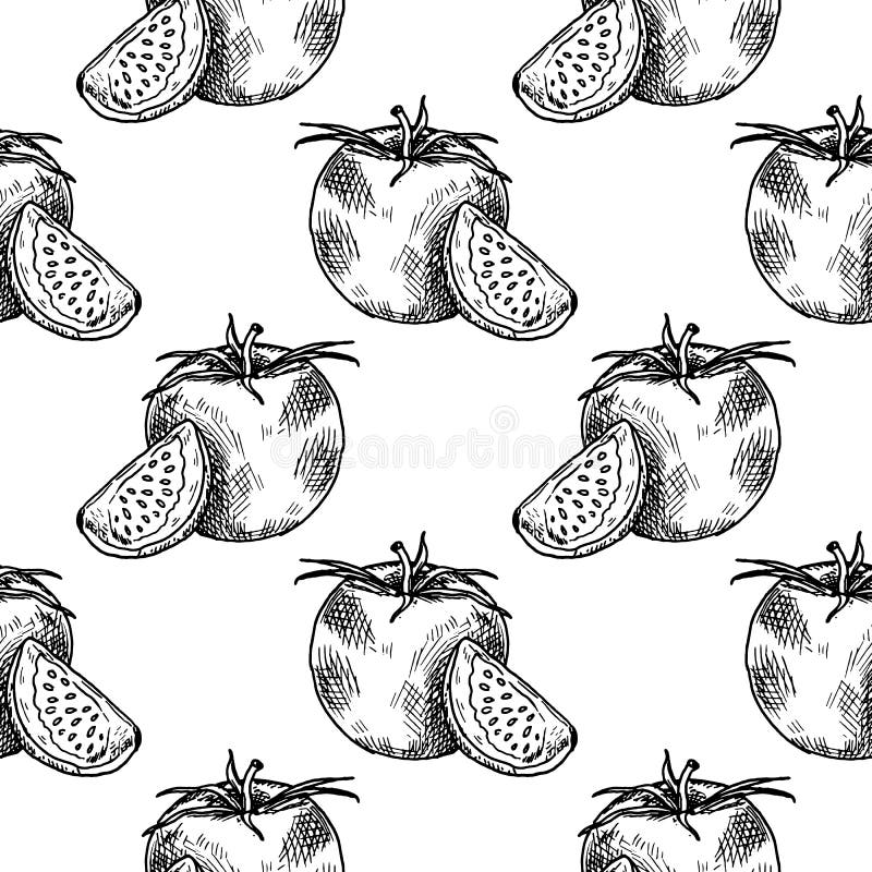 Hand Drawn Tomato Doodle. Sketch Style Icon. Seamless Pattern. Isolated ...