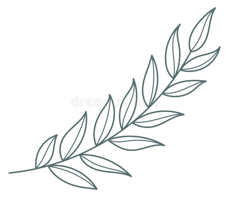 Hand Drawn Tree Branch. Botanical Line Print Stock Vector ...