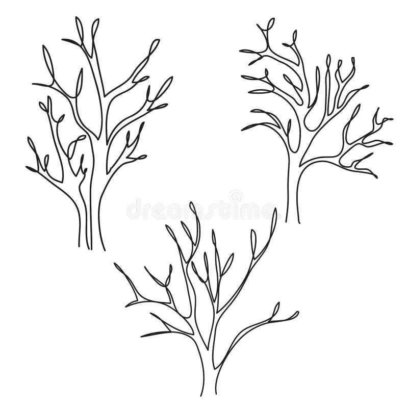 Hand Drawn of a Tree with No Leaves. Vector Stock Vector - Illustration ...
