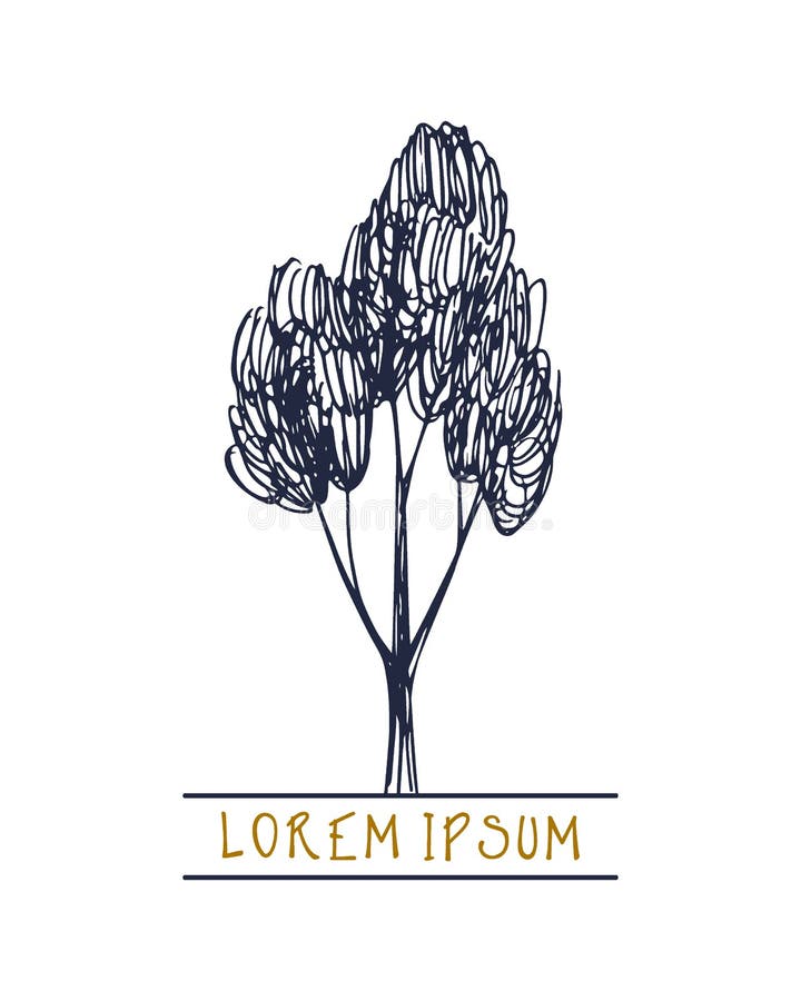 Hand drawn tree stock vector. Illustration of print, forest - 83050313