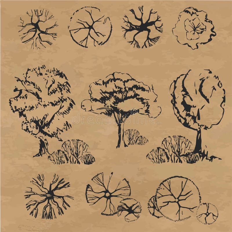 Set of Free Hand Drawn Trees Sketch, Vector Illustration Design Stock ...