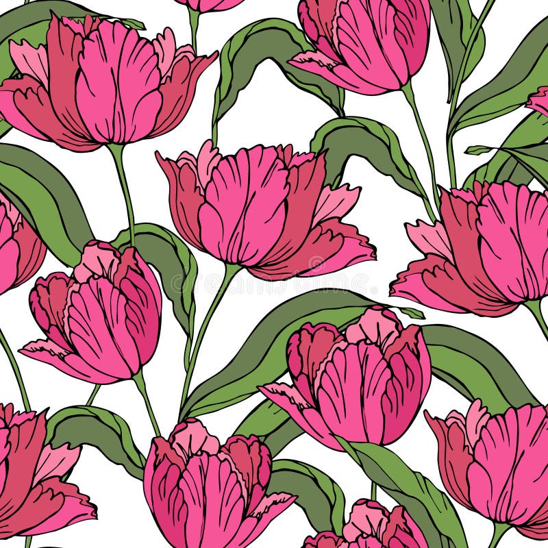 Tulip Flower Vector Botanical Illustration Floral Silhouette Stock ...