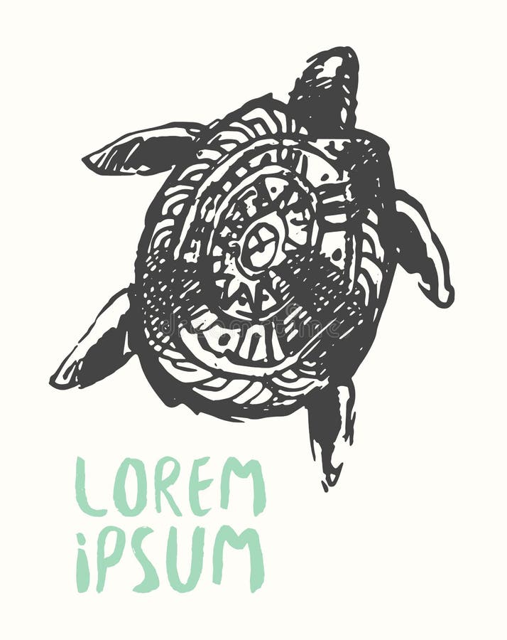 Hand Drawn Turtle Illustration, Logo Template Stock Vector ...