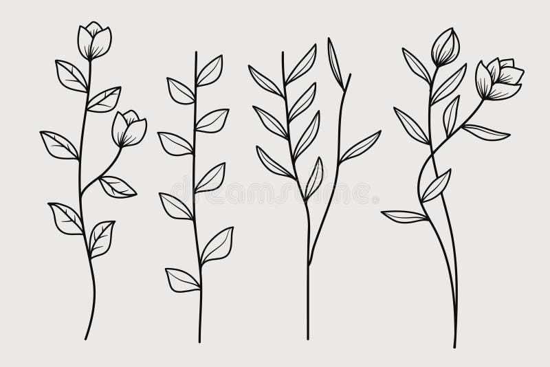 Hand-Drawn Twigs with Leaves in a Botanical Collection.Vector ...