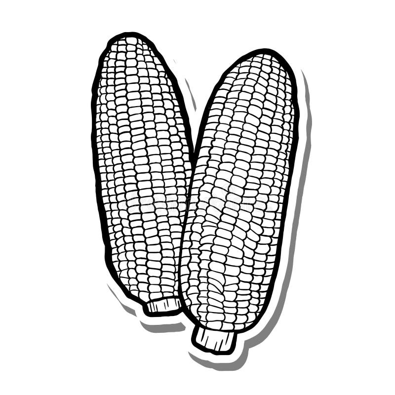 CL1162 Two Corns stock illustration. Illustration of outline - 376646383