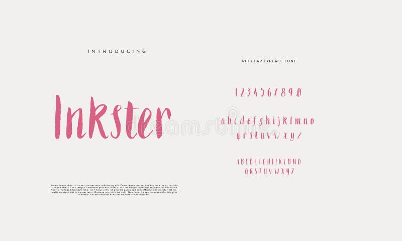 Hand Drawn Typeface Set Isolated on White. Brush Painted Characters ...