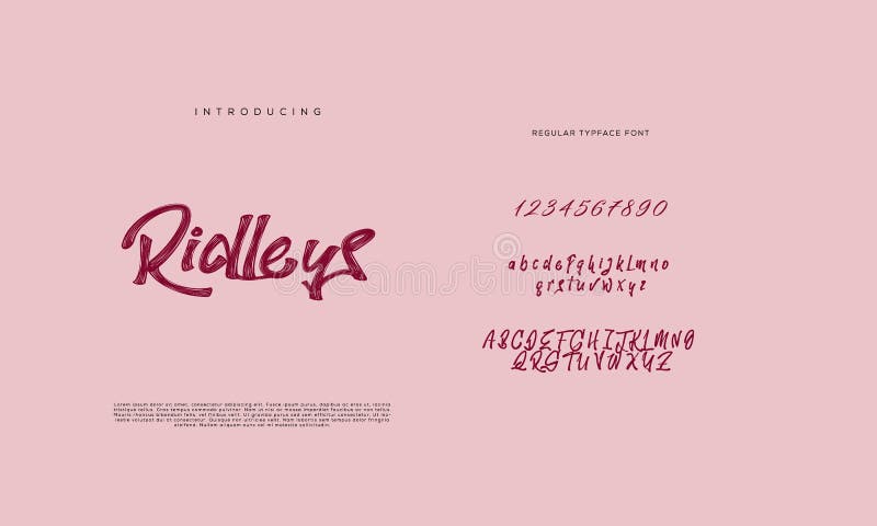 Hand Drawn Typeface Set Isolated on White. Brush Painted Characters ...