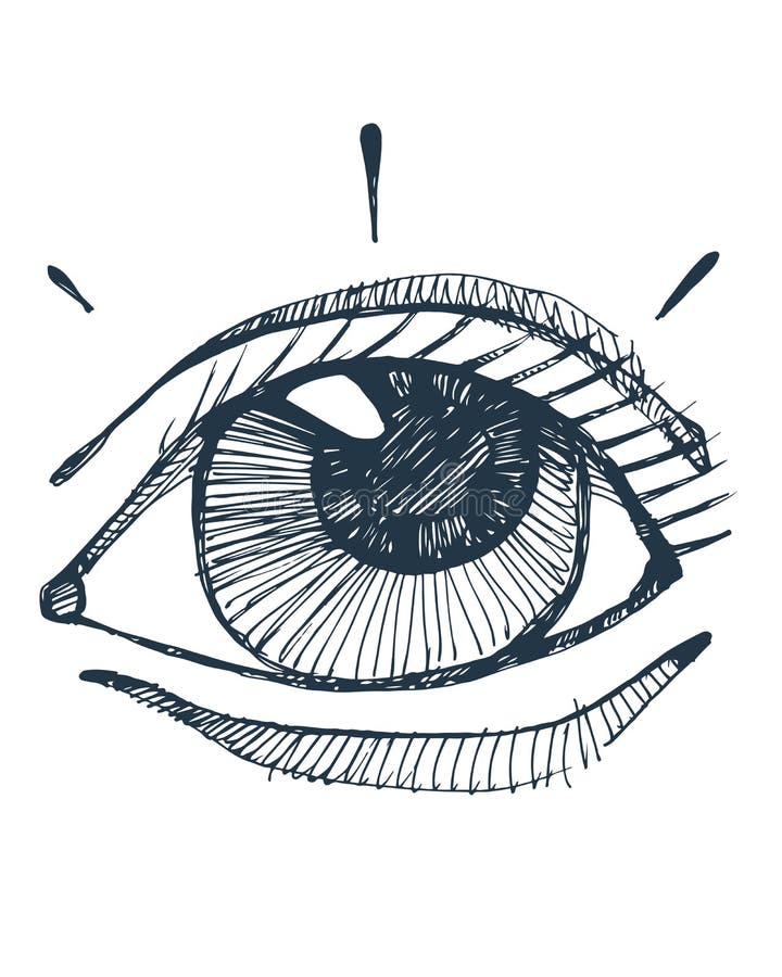 Hand Drawn Vector Human Eye Stock Vector - Illustration of human, drawn ...