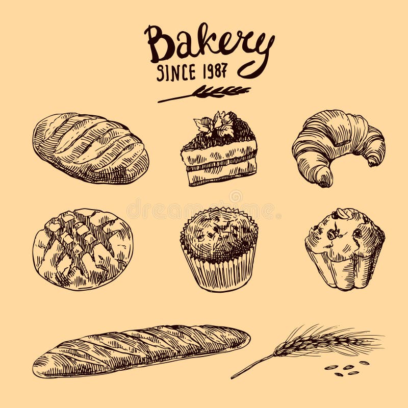 Hand Drawn Vector Illustration Bakery. Stock Vector - Illustration of ...