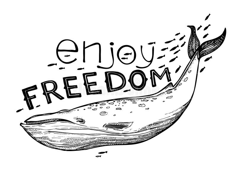Hand-drawn Vector Illustration - Enjoy FREEDOM. Lettering Stock Vector ...