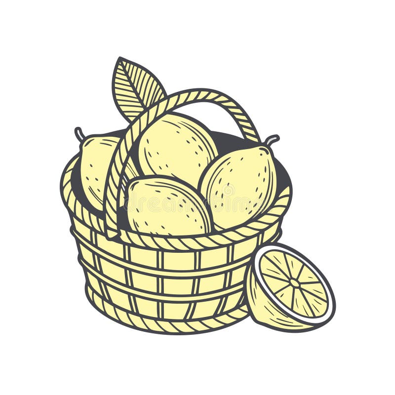Hand-Drawn Lemons in Basket, Vector Illustration Design Stock ...