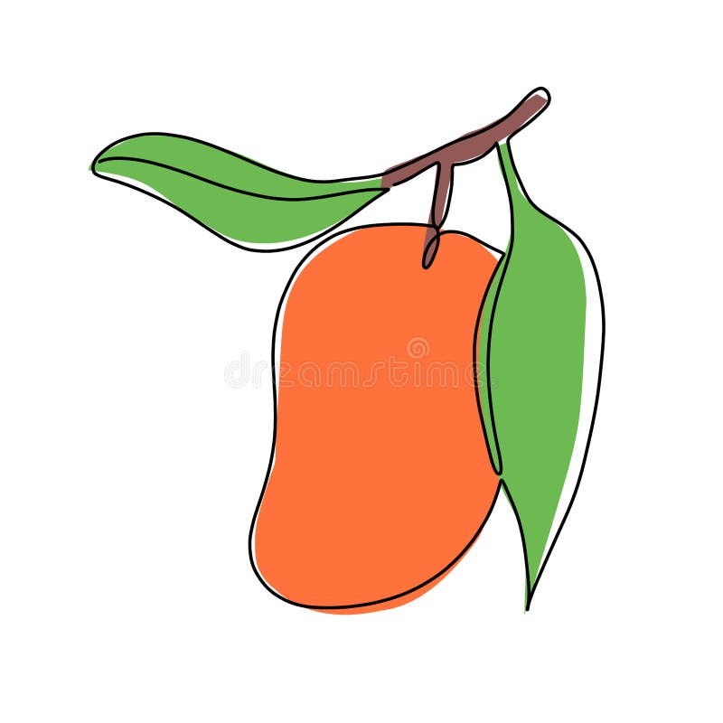 Single Mango Stock Illustrations – 1,871 Single Mango Stock ...