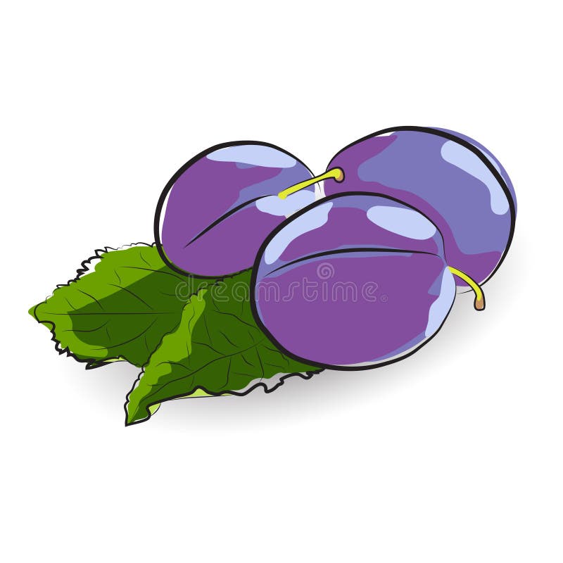 Three Plums Stock Illustrations – 116 Three Plums Stock Illustrations ...
