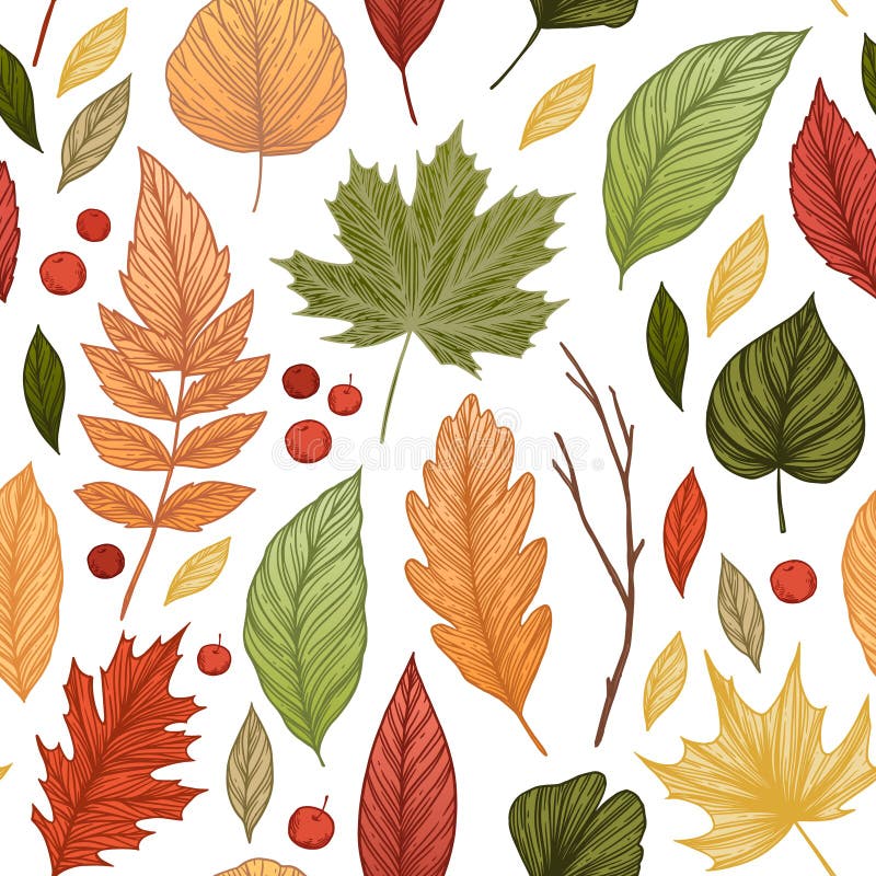 Fall leave stock vector. Illustration of light, season - 12497210