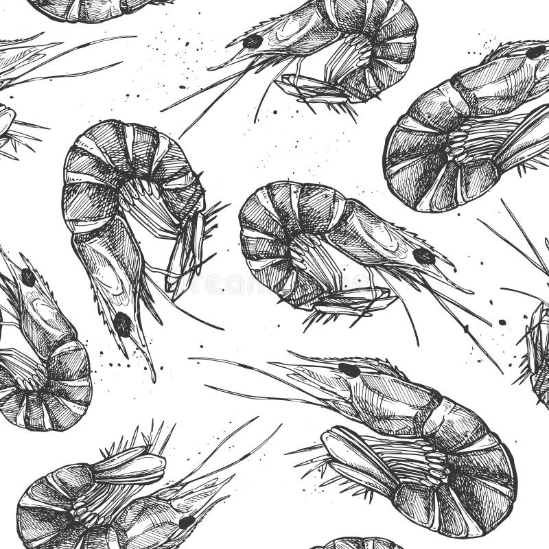 Hand Drawn Vector Illustration - Seamless Patterns with Shrimp. Stock ...