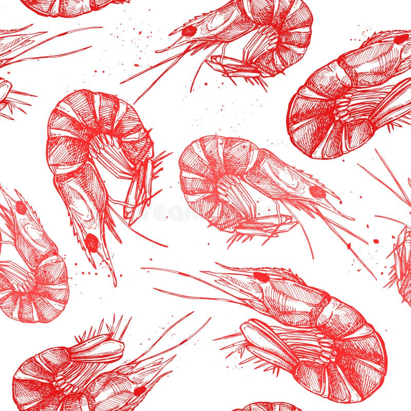 Hand Drawn Vector Illustration - Seamless Patterns with Shrimp. Stock ...