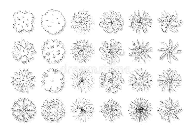 Hand Drawn Vector Illustration Set of Top View Tree Isolated on White ...