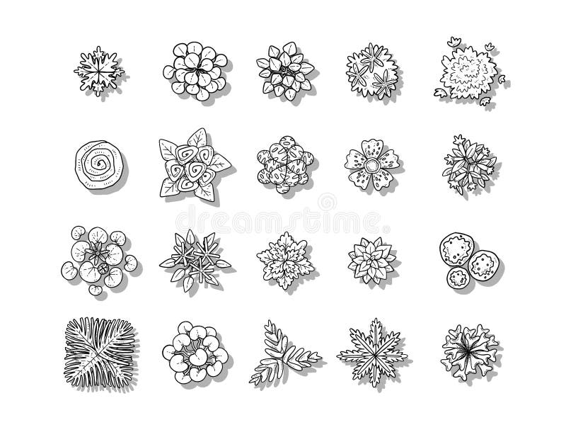 Tree Top View Line Drawing Stock Illustrations – 1,606 Tree Top View ...