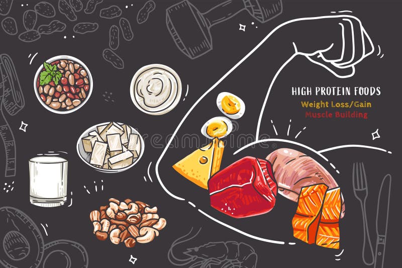 A Hand-drawn Vector Illustration Showcasing a Variety of High-protein ...