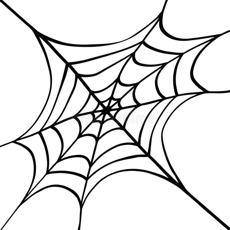 Hand Drawn Vector Illustration of a Spider Web with Intricate Details ...