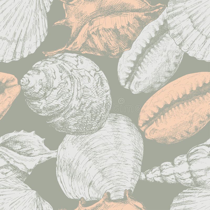 Hand Drawn Vector Illustrations - Seamless Pattern of Seashells. Marine ...