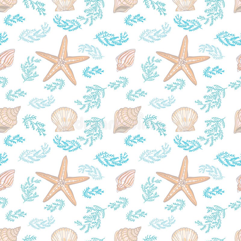 Hand Drawn Vector Illustrations - Seamless Pattern of Seashells. Marine ...