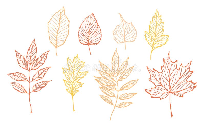 Hand Drawn Vector Illustrations. Set of Fall Leaves Stock Vector ...