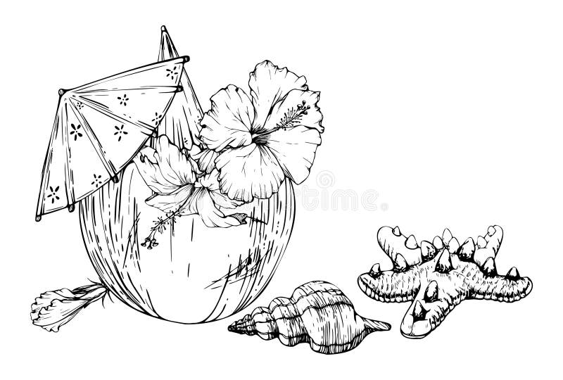 Hand Drawn Vector Ink Composition Seascape With Beach Coconut Cocktail