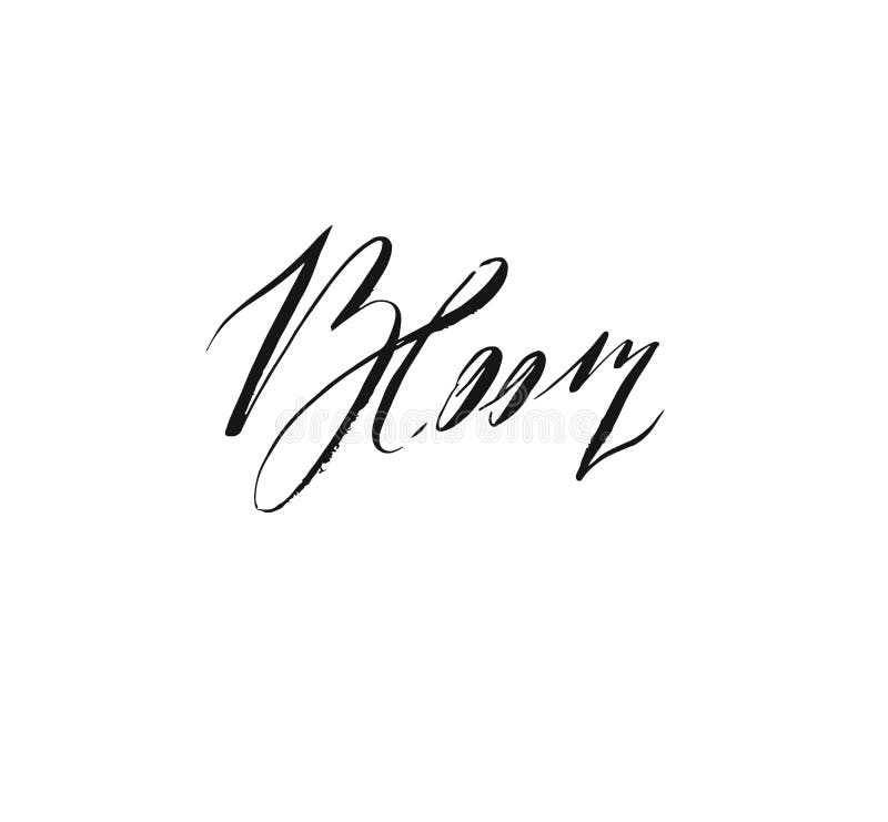 Hand Drawn Vector Ink Graphic Handwritten Bloom Calligraphy Lettering ...
