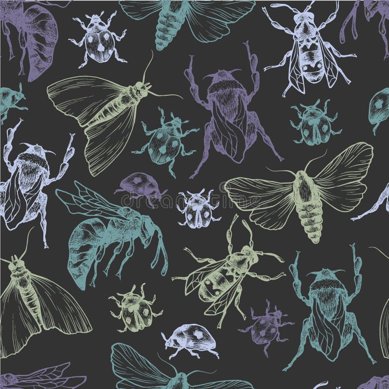 Hand Drawn Vector Pattern with Insects in Different Poses. Stock Vector ...