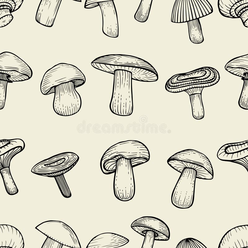 Unusual Mushrooms Line Art Stock Illustrations – 46 Unusual Mushrooms ...