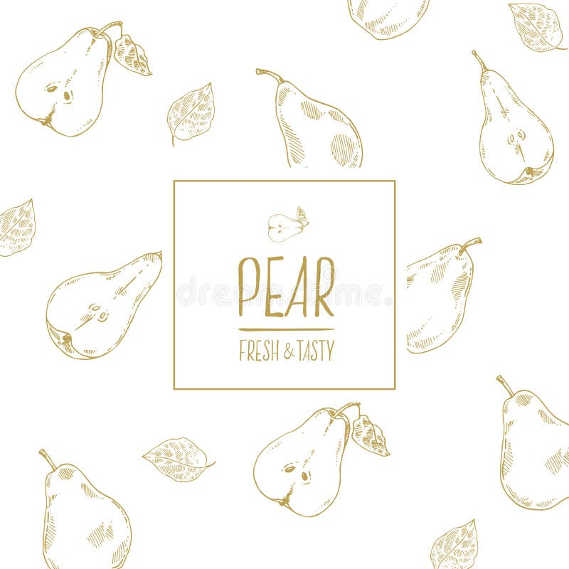 Hand Drawn Vector Pears Background with Square Frame Stock Vector - Illustration of realistic ...